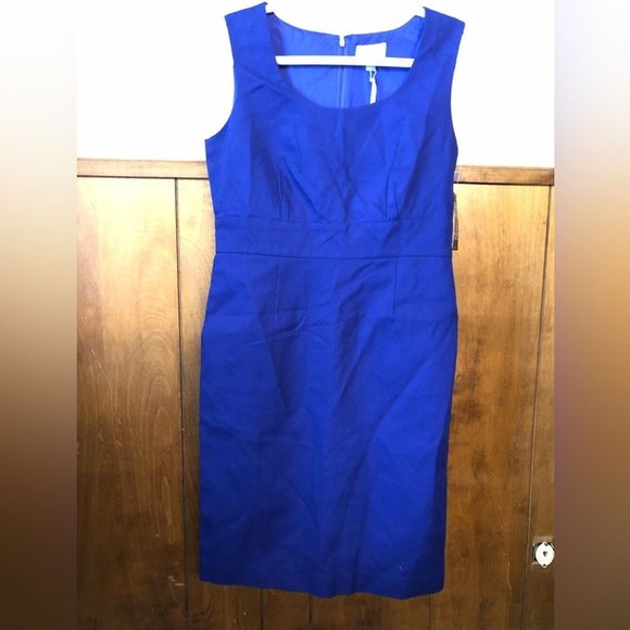 Pure Collection | Dresses | Purecollection Shift Dress | Poshmark